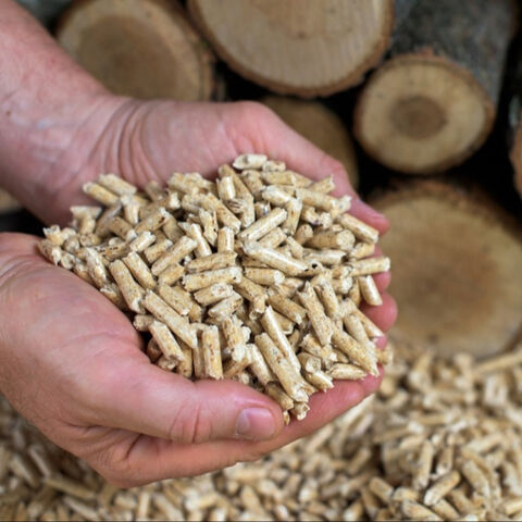 Buy Wholesale Canada Buy Wholesalewood Pellet In Eu-door To Door ...