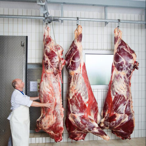 Buy Wholesale Canada Fresh Frozen Halal Lamb Meat For Sale & Halal Lamb ...