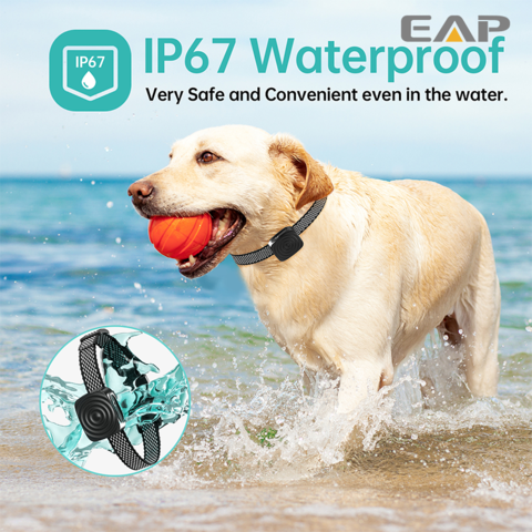 Buy Wholesale China 2022 New Cute Fancy Sublimation Print Logo Design ...