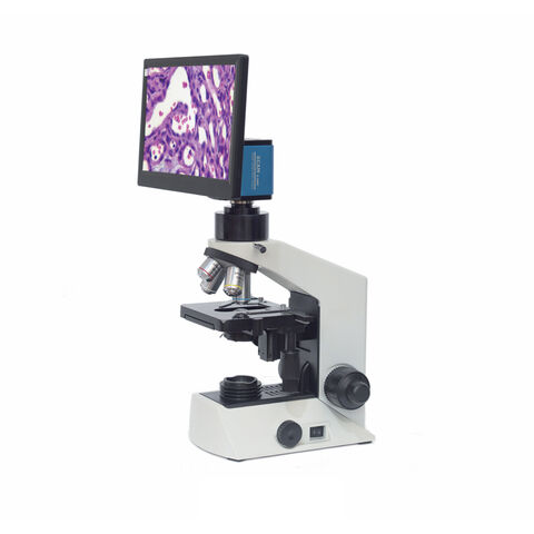Buy Wholesale China Wholesale Video Microscope For Lab Use & Microscope ...