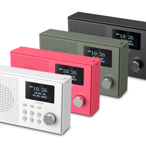 Buy Wholesale China 2022 New Private Dab/dab+ Bluetooth Speaker Bulit ...