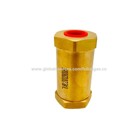 Buy Wholesale China Feilun Dh-15t Brass Cryogenic Check Valve For ...