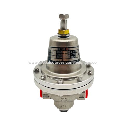Buy Wholesale China Feilun Dys-20 Stainless Steel Cryogenic Pressure ...