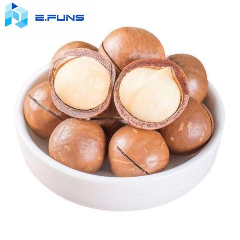 Buy Wholesale China Organic Macadamia Nuts Popular Snack Dried ...