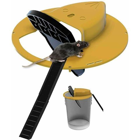 Buy Standard Quality China Wholesale High Quality Humane Mousetrap Mice ...