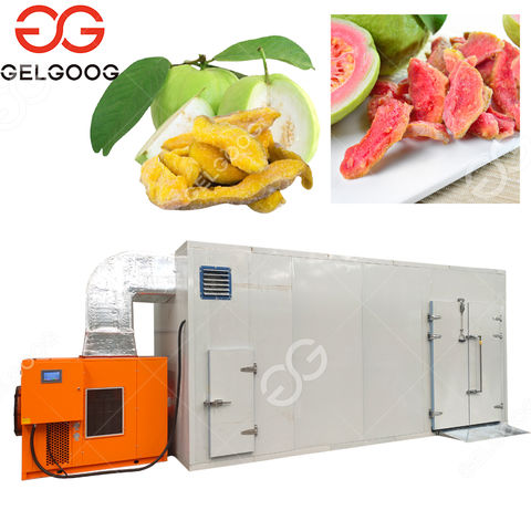 Buy Wholesale China Heat Pump Guava Dehydration Machine Guava Drying ...