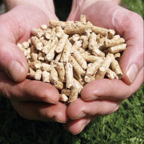 Buy Wholesale China 15kg Bags 6mm Biomas Wood Pellets Briquettes Europe ...