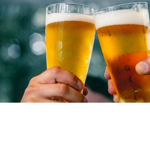 Buy Wholesale Germany Carlsberg Beer & Carlsberg Beer, Beer, Carlsberg ...