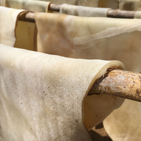 Buy Wholesale Germany Dry Cow Hides & Dry Cow Hides, Dry Salted Cow ...