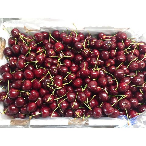 Buy Wholesale Germany Cherries & Cherries, Fresh Cherries , Fruits ...