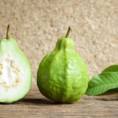 Buy Wholesale Germany High Quality Fresh Guava Fruits & Fresh Guava ...