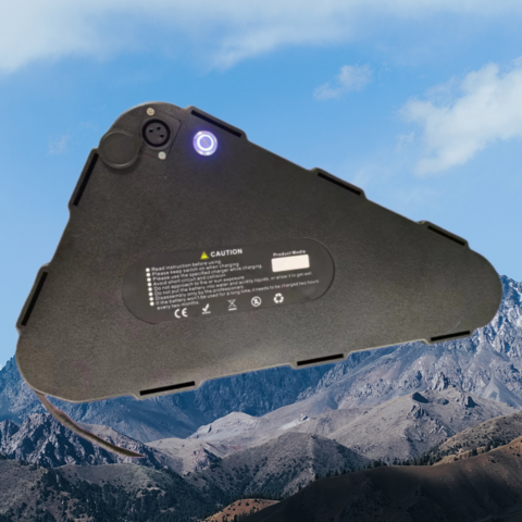 Buy Wholesale China 48v20ah Electric Vehicle Triangular Lithium Battery ...