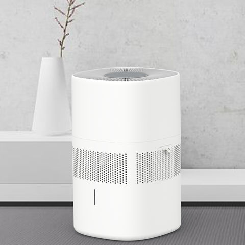 Buy Wholesale China High End 5l Large Coverage Air Humidifier Skin ...