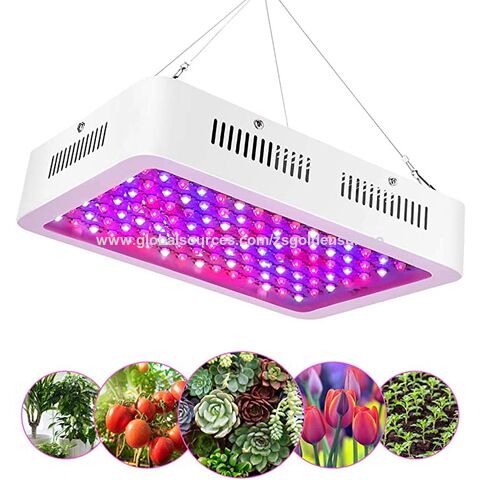 Buy Wholesale China Factory Oem Led Grow Light For Greenhouse Fruit ...