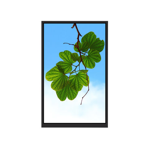 Buy Wholesale China 8 Inch Tft Lcd Display Ultra Wide Stretched Bar Lcd ...