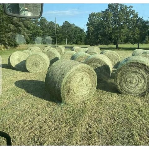 Buy Wholesale Canada Cheap Alfalfa Hay / Wholesale Alfalfa Hay Bales ...