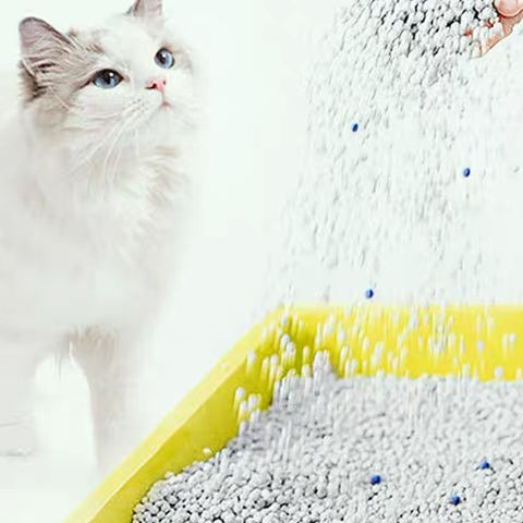 Buy Wholesale China Non-toxic Cat Sand Bentonite Clay Cat Litter Sand ...
