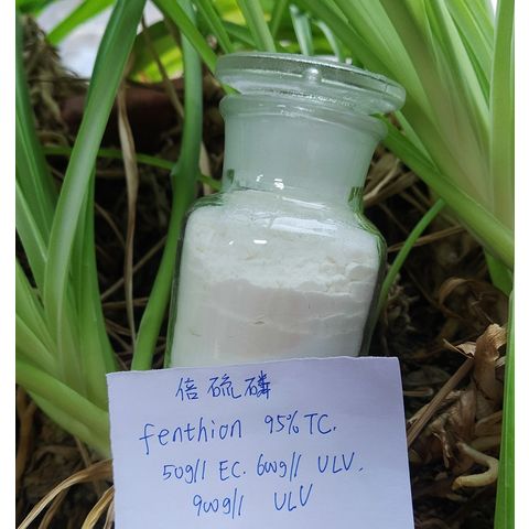 Buy Wholesale China Fenthion 95%tc, 50%ec Pesticide & Insecticides 55 ...