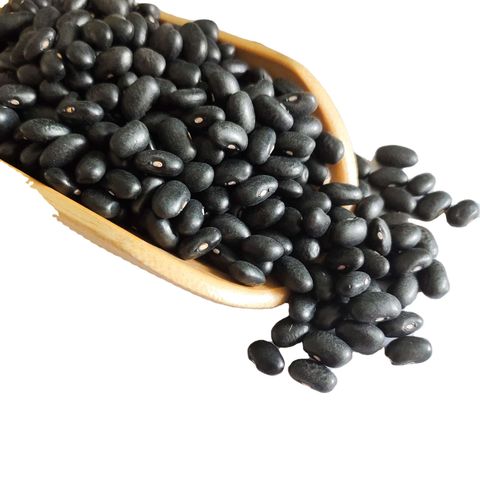 Buy Wholesale Germany Bulk 100% White Kidney Beans (cannellini Beans ...
