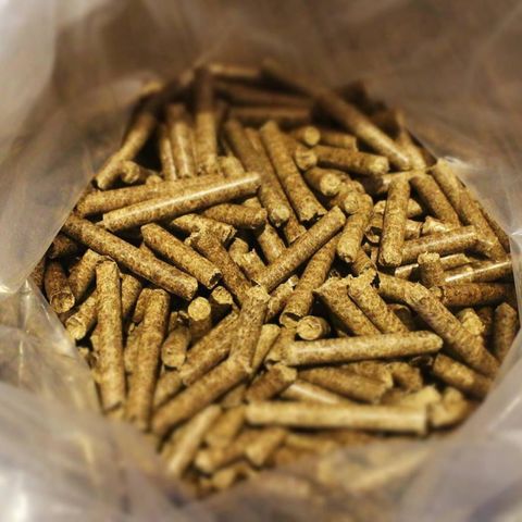 Buy Wholesale Kenya Top Quality Wood Pellets Din Plus / Plus-a1 Wood ...