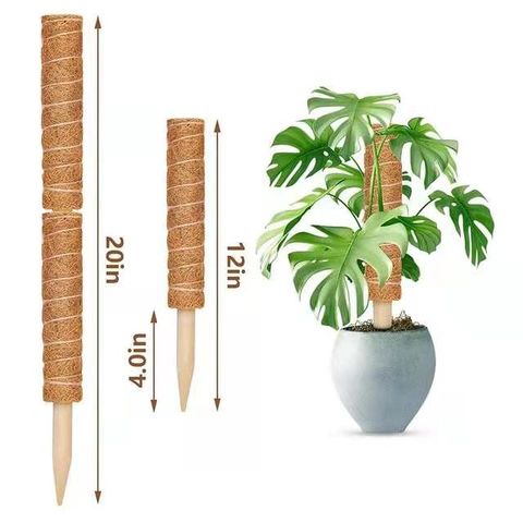 Coir Moss Poles Small Climbing Plants Accessories Indoor Extension ...