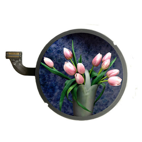 Buy Wholesale China Circular Amoled Lcd Display 1.43inch 466x466 Resolution Lcd Panel Screen ...