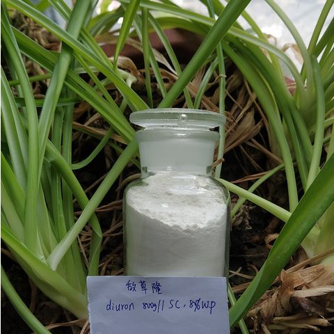 Buy Wholesale China Agrochemical Herbicide Supplier Diuron 80% Wp 800g ...