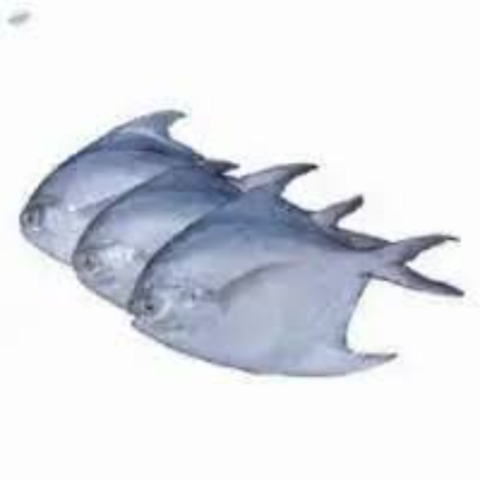 Buy Wholesale United States Natural Frozen Whole Round Silver Sillago ...