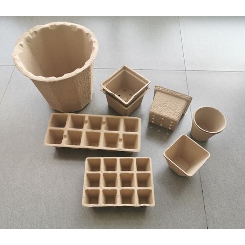 Buy Wholesale China Seeding Trays Home Vegetable Paper Pulp Mold ...