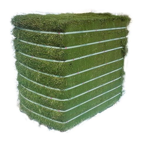 Buy Wholesale Kenya Buy Timothy Hay Bales, Alfalfa Hay And Cubes ...