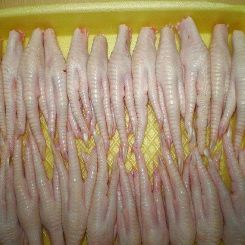 Buy Wholesale Kenya New Frozen Chicken Feet | Fresh Frozen Boneless ...