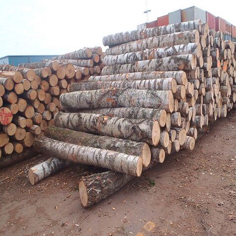 Kayu Pinus, A/b | Global Sources