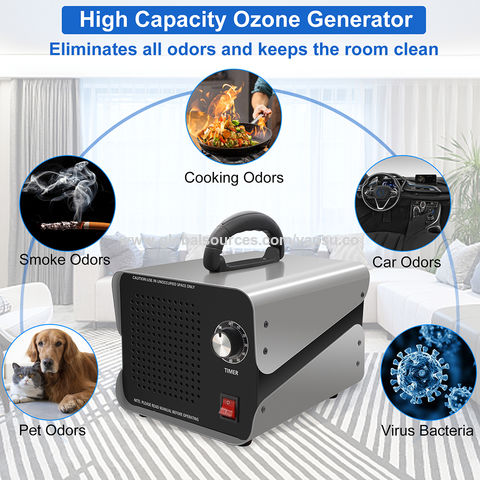 Buy Wholesale China Portable Home Large Power 20000mg/h O3 Ozone Air ...