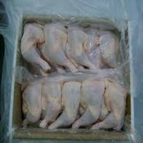 Buy Wholesale United States Frozen Chicken Leg Quarters & Chicken ...