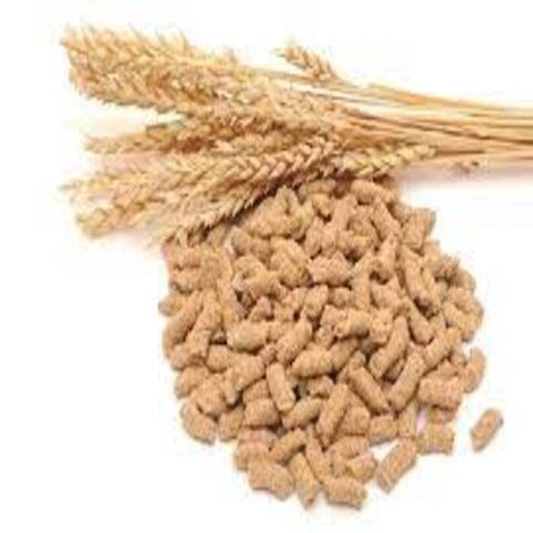 Buy Wholesale United States Wheat Bran & Wheat Bran, Corn, Dried Grain ...