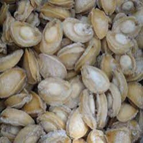 Buy Wholesale United States Frozen Abalone & Frozen Abalone at USD 400 ...