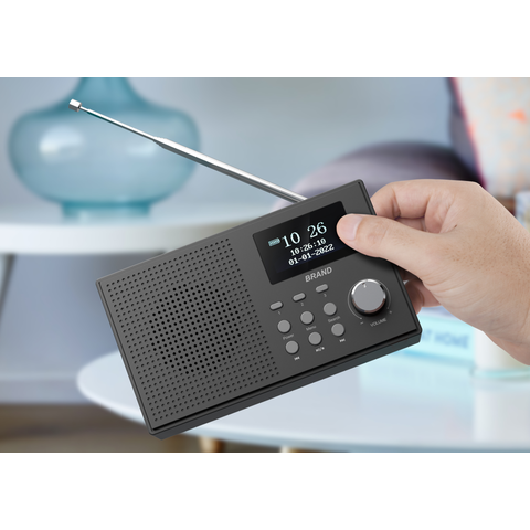 Buy Wholesale China 2022 New Private Dab/dab+ Bluetooth Speaker Bulit ...