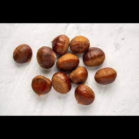 Buy Wholesale United States 100% Natural Chest Nuts & Chest Nut, Tiger ...
