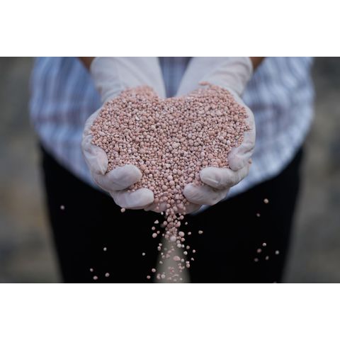 Buy Wholesale Germany Factory Price Mop/muriate Of Potash Fertilizer ...