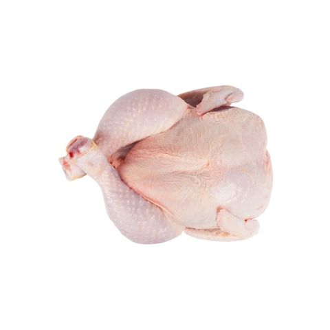 Buy Wholesale Germany Premium Quality Frozen Whole Chicken/halal Frozen ...