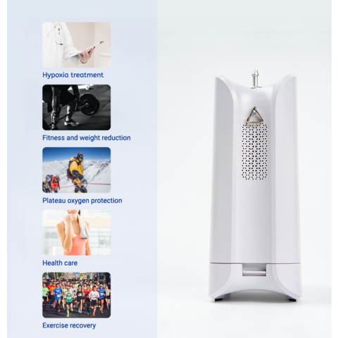 Buy Wholesale China High Manufacture 6l Oxygen Concentrator The Best ...