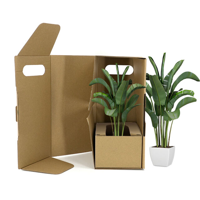 Buy Wholesale China Shipping Boxes Live Plant Packing Mailer Box ...