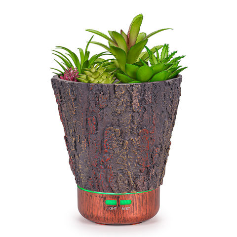 Buy Wholesale China Diy Succulent Diffuser， 150ml Water /7color Light ...