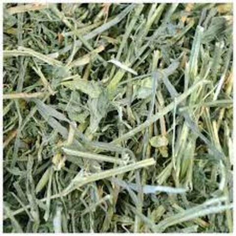 Buy Wholesale United States 100% Natural Alfalfa Hay/alfalfa & Alfalfa ...