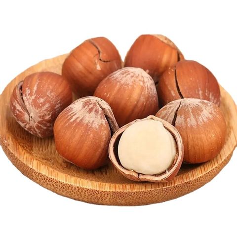 Buy Wholesale Germany Hazelnut Kernels/hazelnut In Shell/ Organic ...