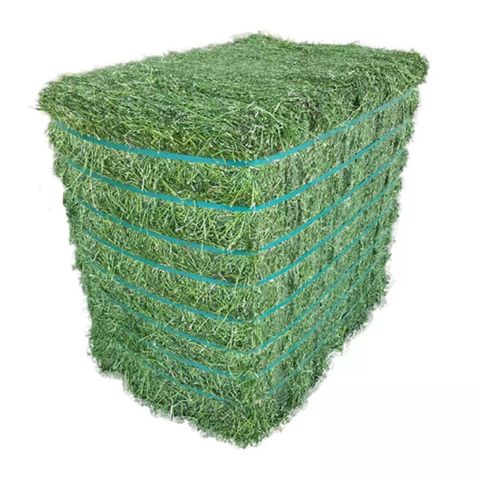 Buy Wholesale Canada Best Factory Price Alfalfa Hay For Animal Feeding ...
