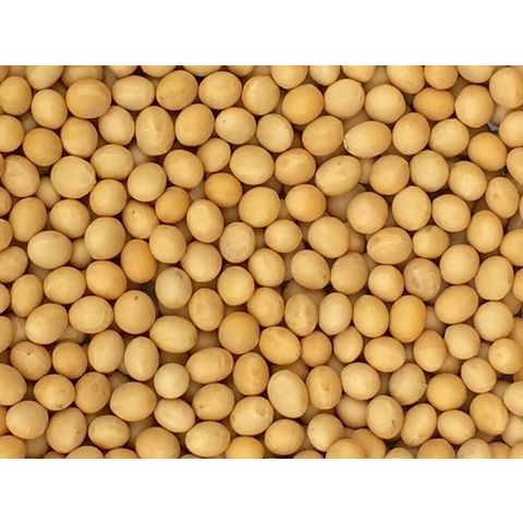 Buy Wholesale Thailand Best Quality Natural And Non- Gmo Yellow Soybean ...