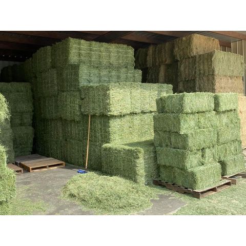 Buy Wholesale United States Alfalfa Hay For Animal Feed At Wholesale ...