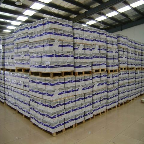 Buy Wholesale Thailand A4 Size Copy Papers 500 Pcs Bundle Wholesale ...