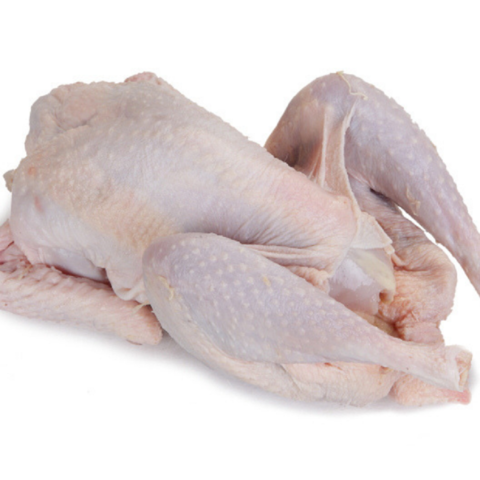 Buy Wholesale Thailand Frozen Whole Chicken / Frozen Chicken Feet ...